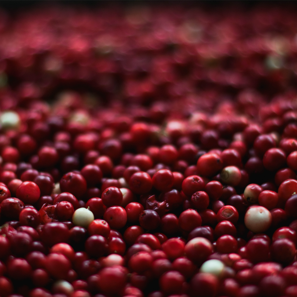 Cranberries – NBF National Best Foods