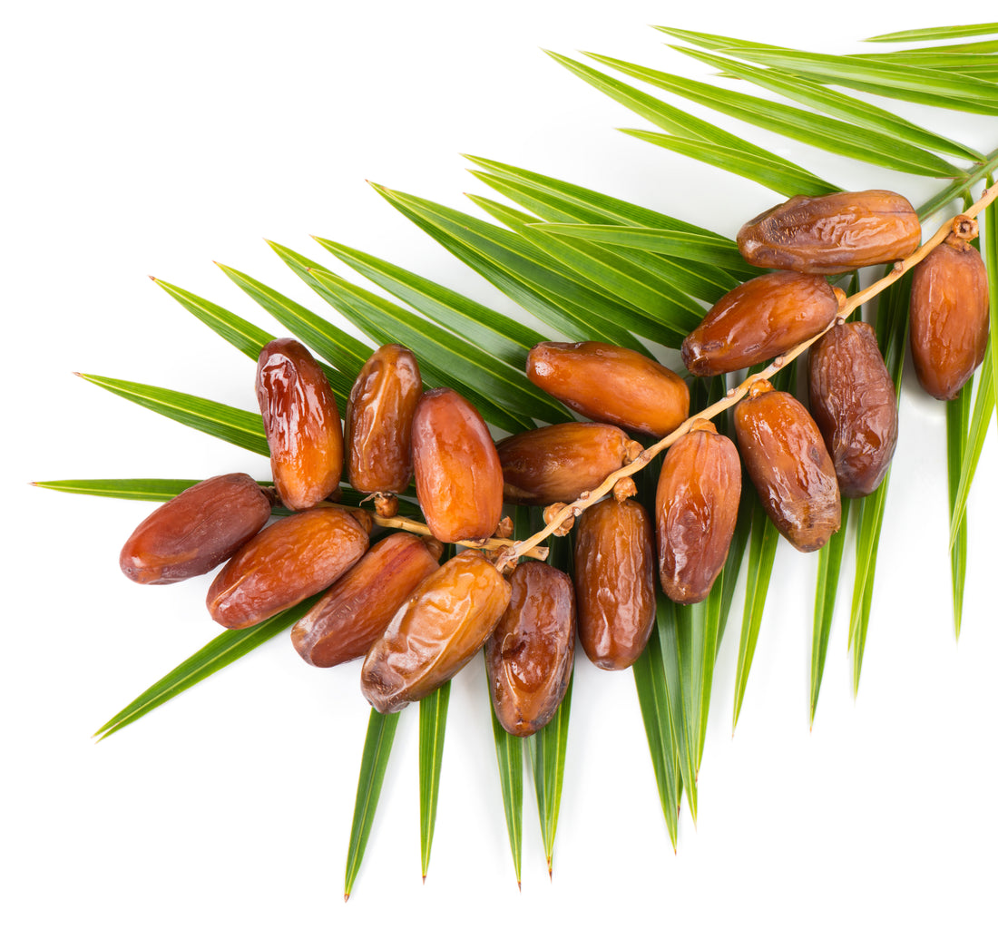 Golden Valley Branch Dates 12 x 908 G – NBF National Best Foods